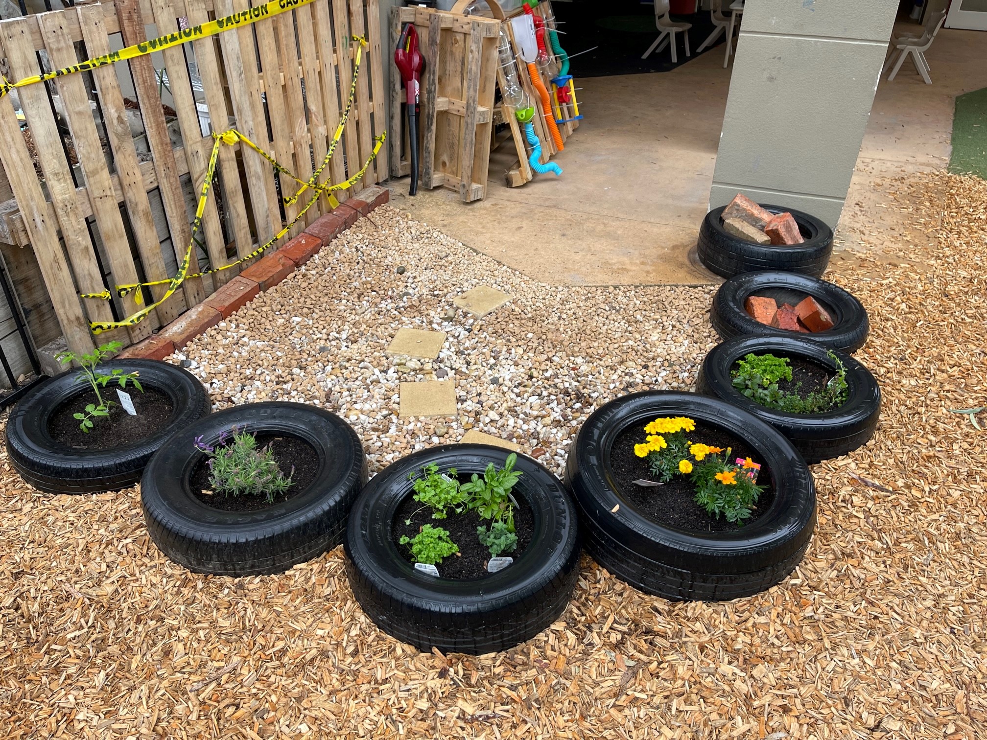 Celebrating climate and health actions at Buckets Early Learning Centre